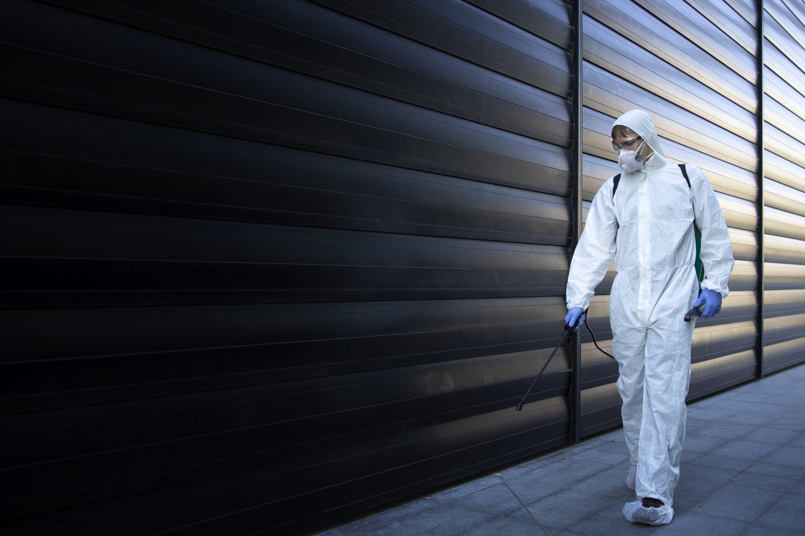 Top Pests in Commercial Businesses & Premises | Greenway IPM